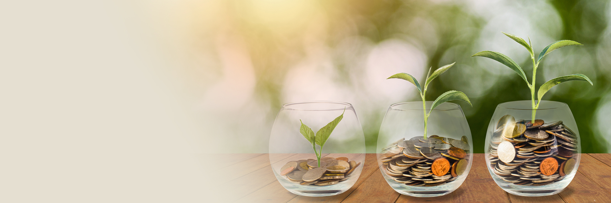 Nutmeg State Financial Credit Union - Consumer and Business Banking